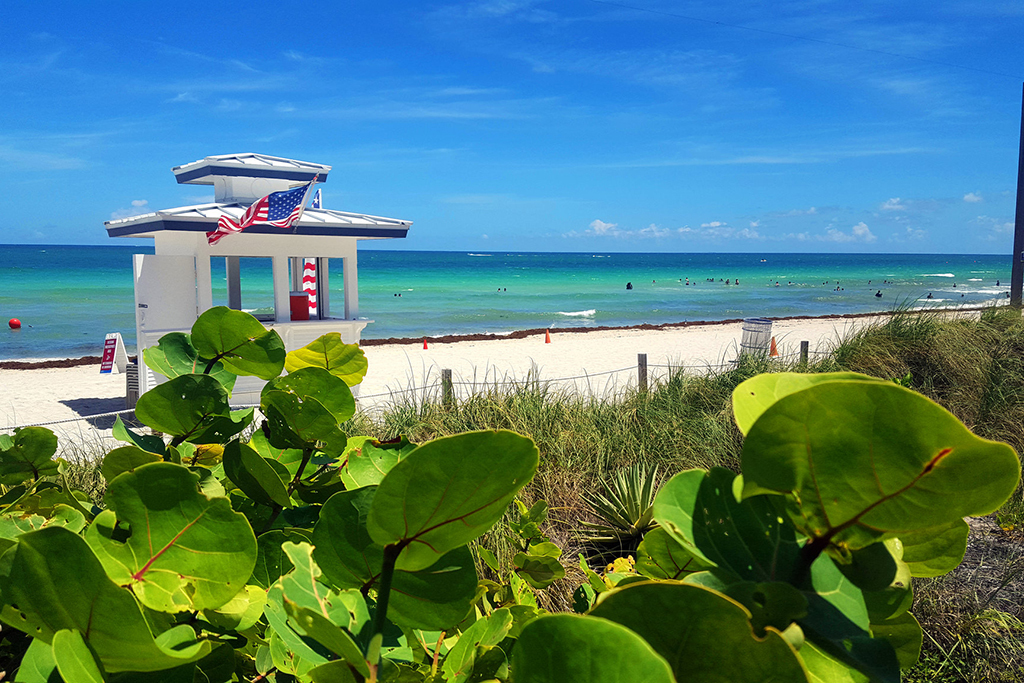 Miami Beach Neighborhood Guide 2018