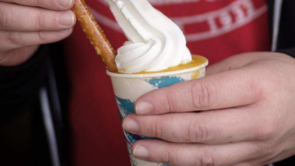 8 Best Places to Get Water Ice in Philadelphia