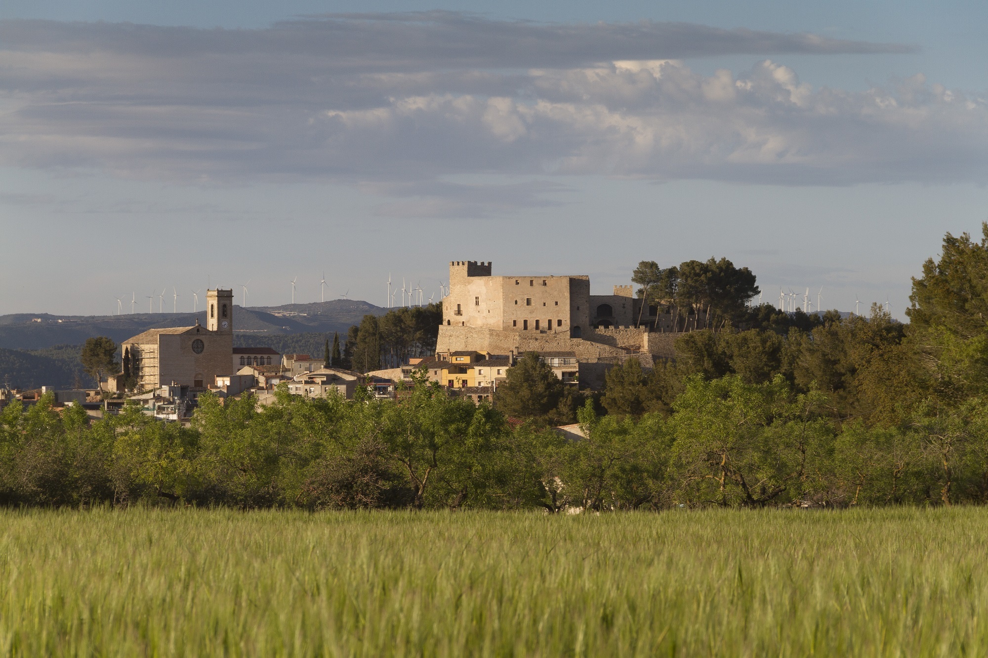 Enjoy legends and cavas with a getaway to Anoia