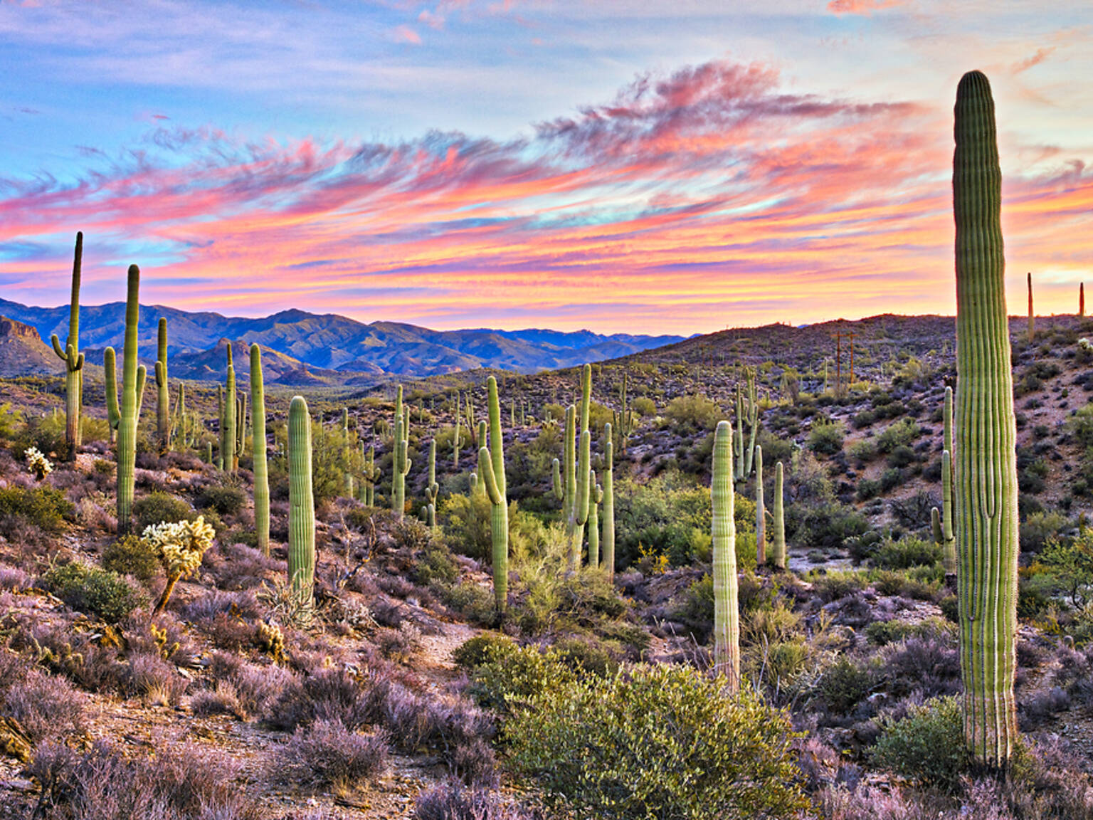 Arizona 2025 | Ultimate Guide To Where To Go, Eat & Sleep in Arizona ...