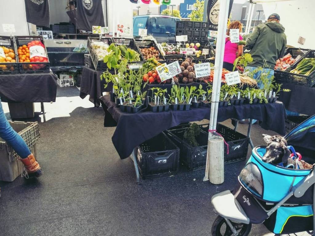 9 Best Farmers’ Markets in Austin for Fresh Produce