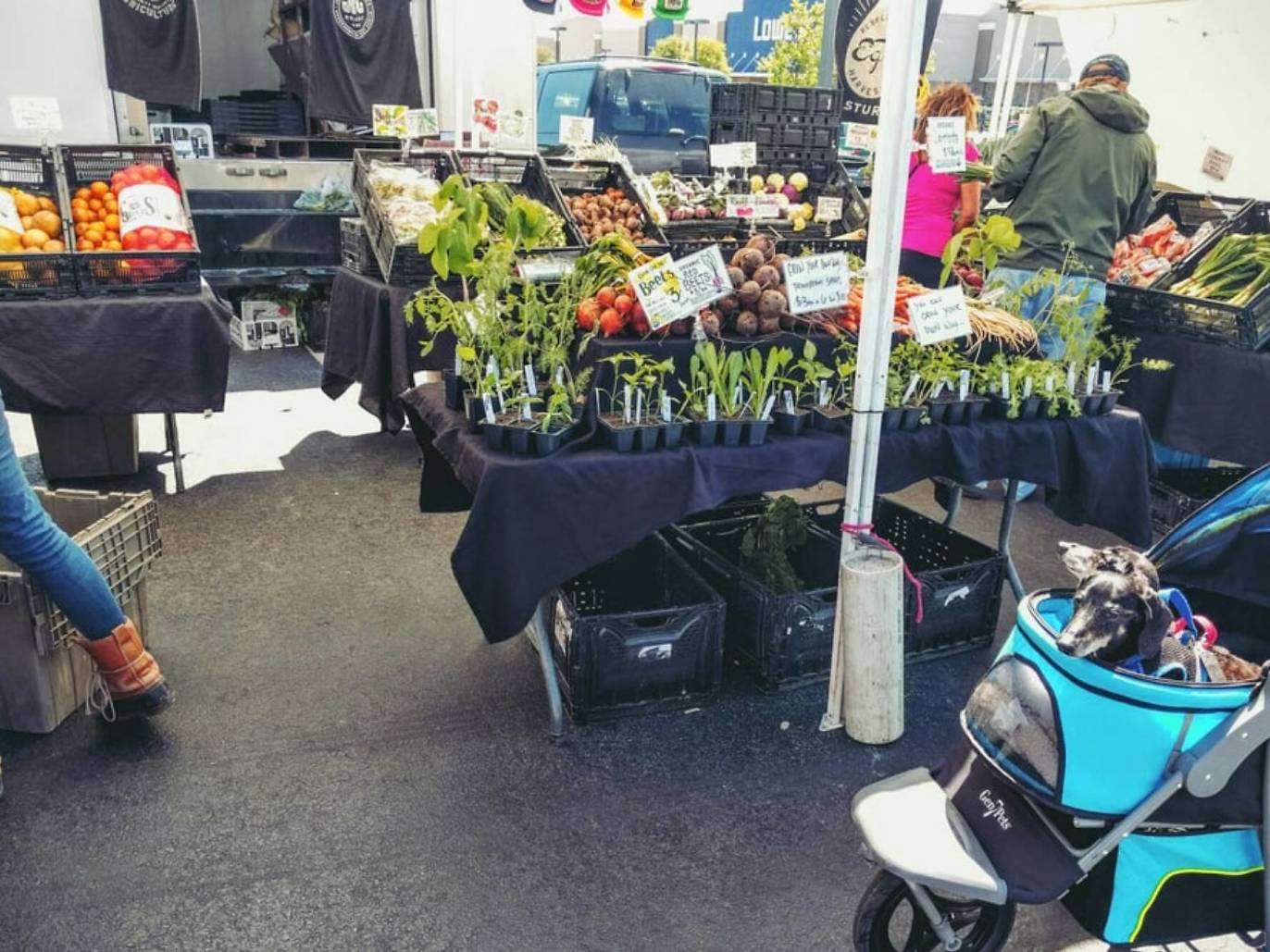 9 Best Farmers’ Markets in Austin for Fresh Produce