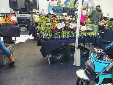 9 Best Farmers’ Markets in Austin for Fresh Produce