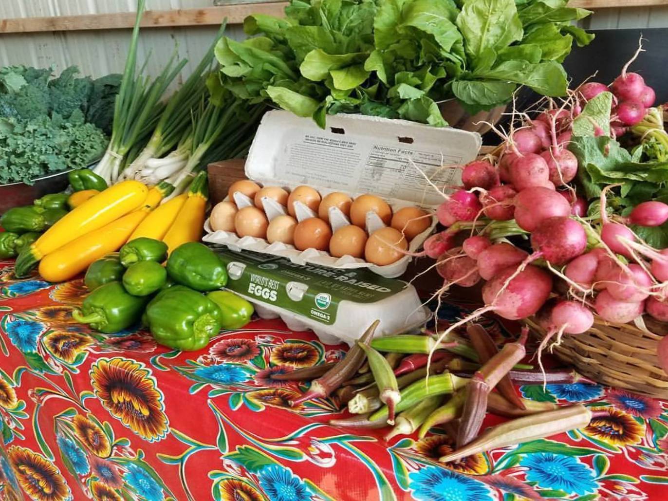 9 Best Farmers’ Markets in Austin for Fresh Produce
