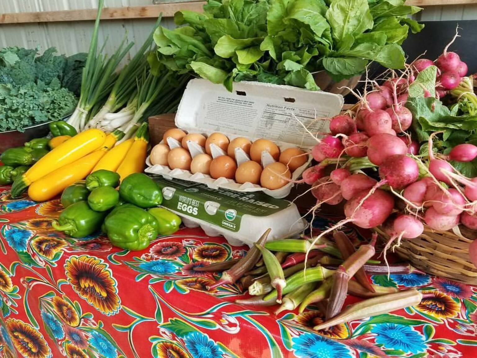 9 Best Farmers’ Markets in Austin for Fresh Produce
