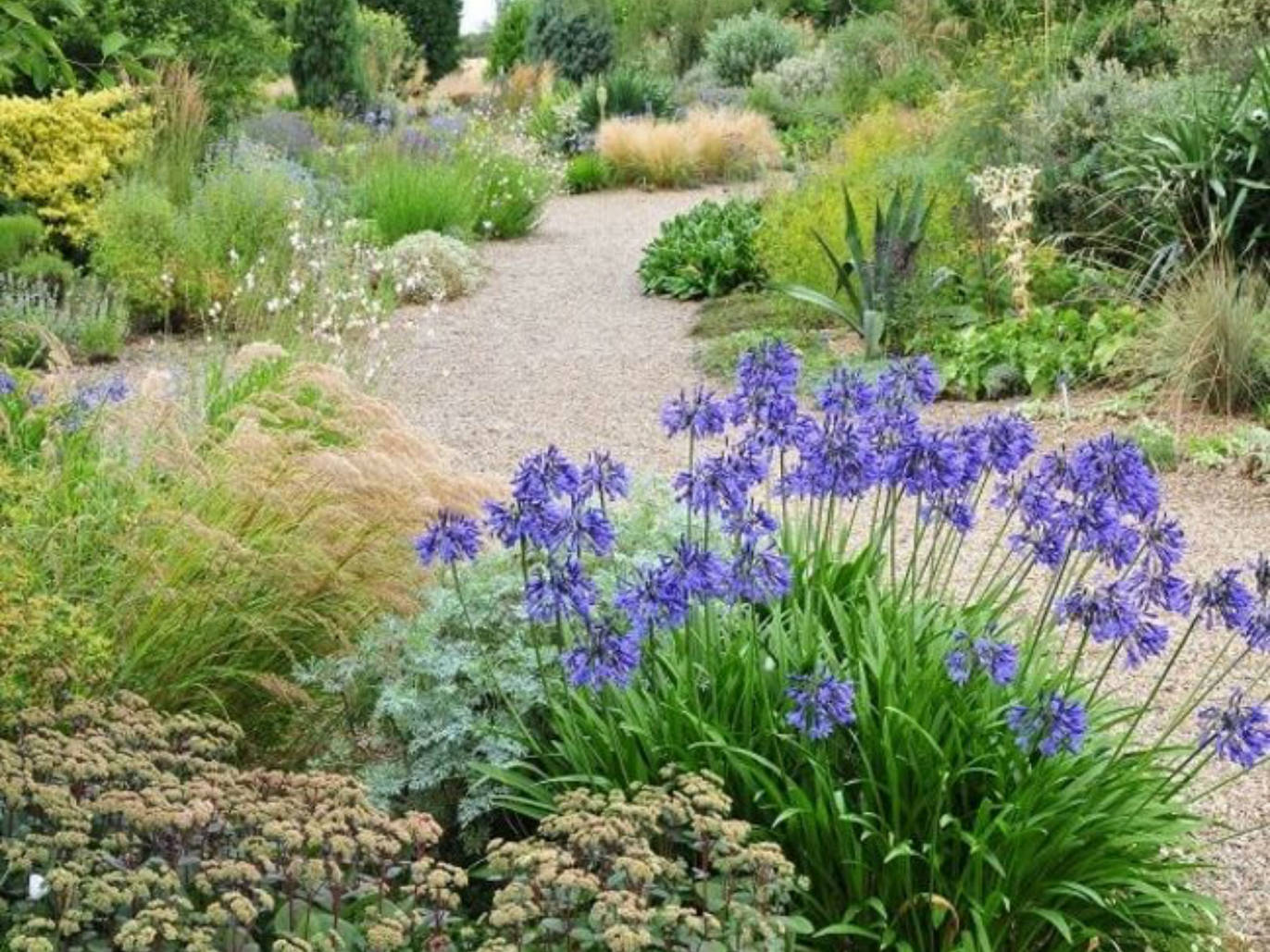 12 Day Trips From London For Flower Lovers: Flower Fields Near London