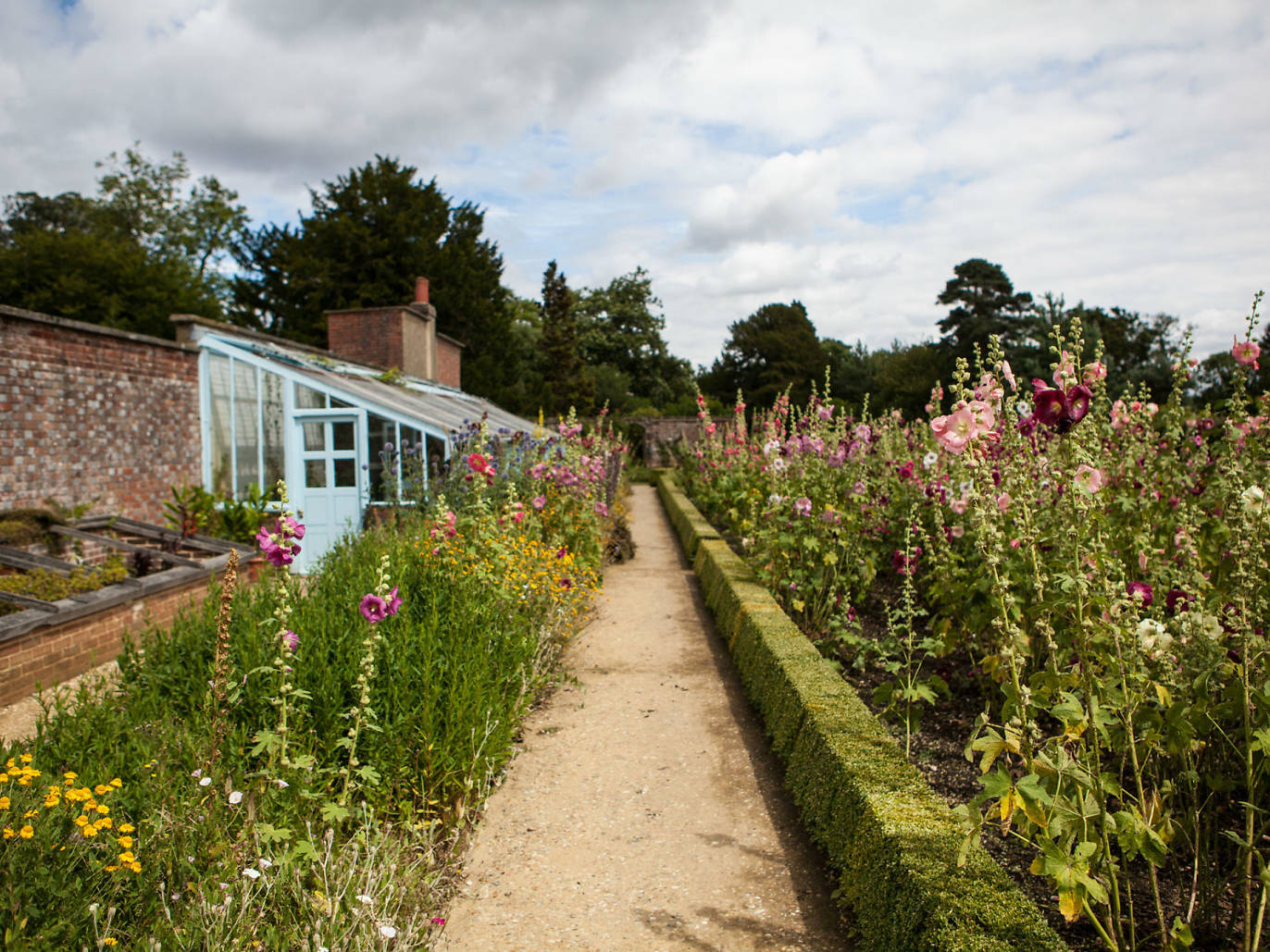 12 Day Trips From London For Flower Lovers: Flower Fields Near London