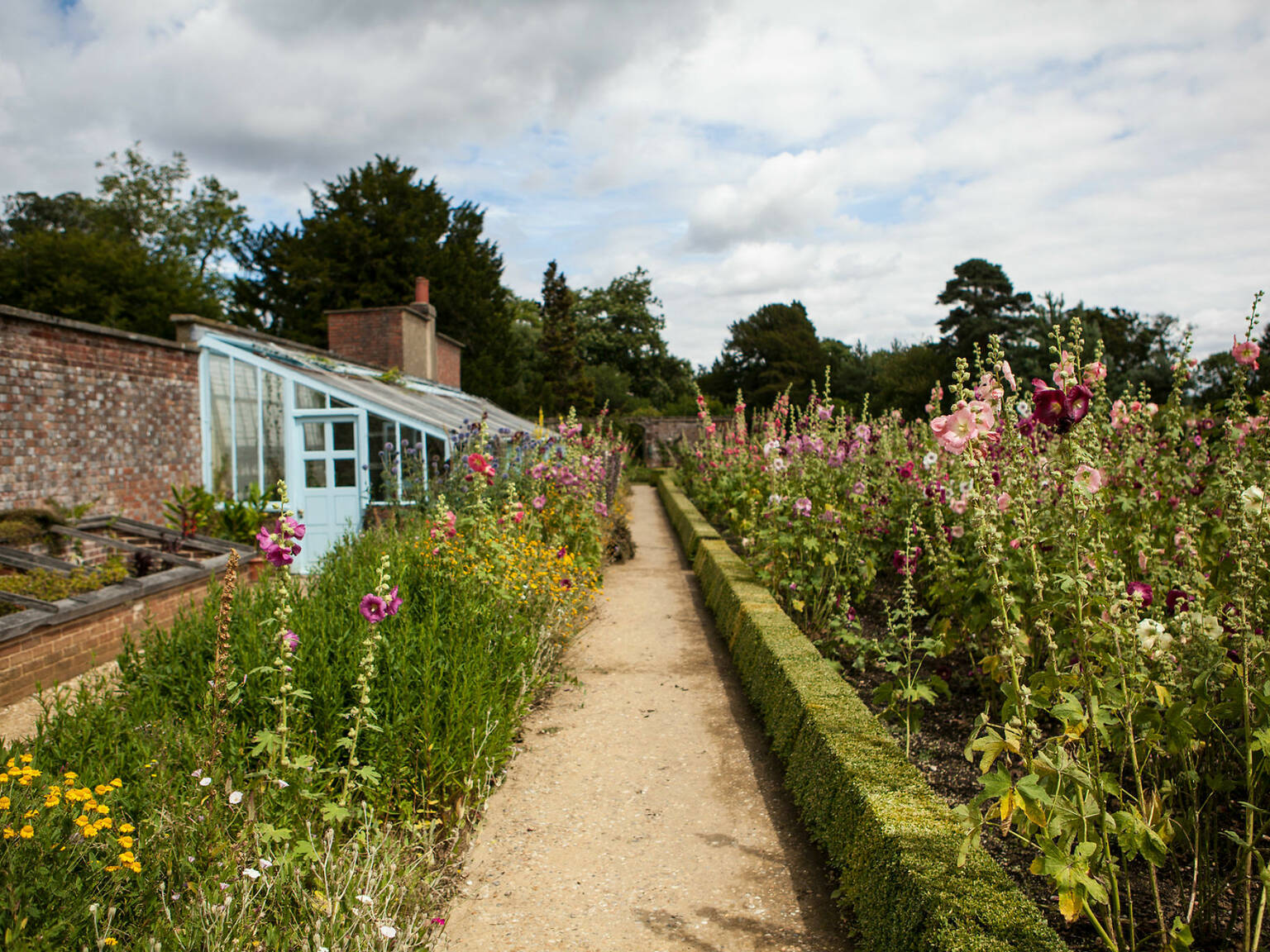12 Day Trips From London For Flower Lovers: Flower Fields Near London