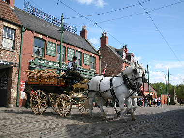 8 Best Things To Do In Durham Right Now