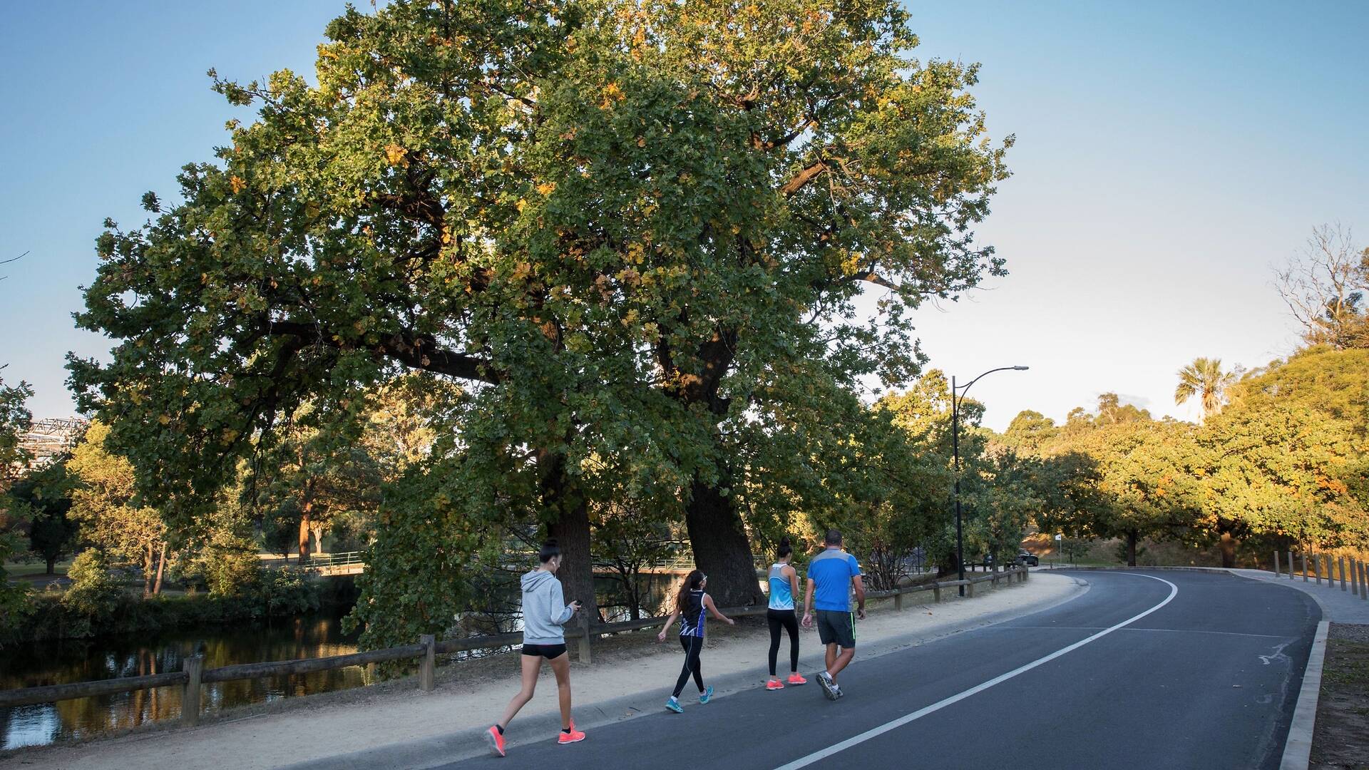 Parramatta Park | Attractions in Parramatta, Sydney