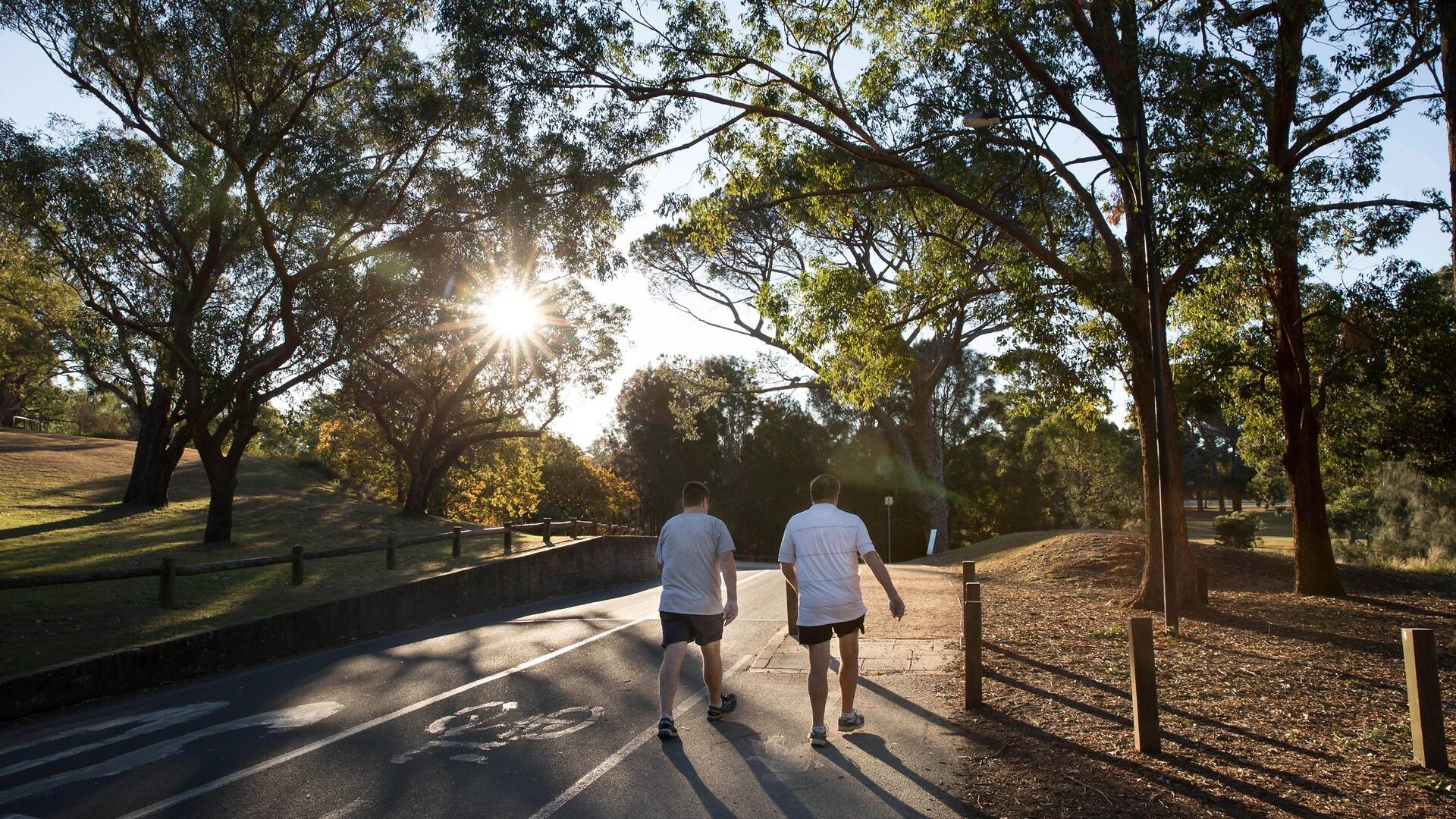 Parramatta Park | Attractions in Parramatta, Sydney