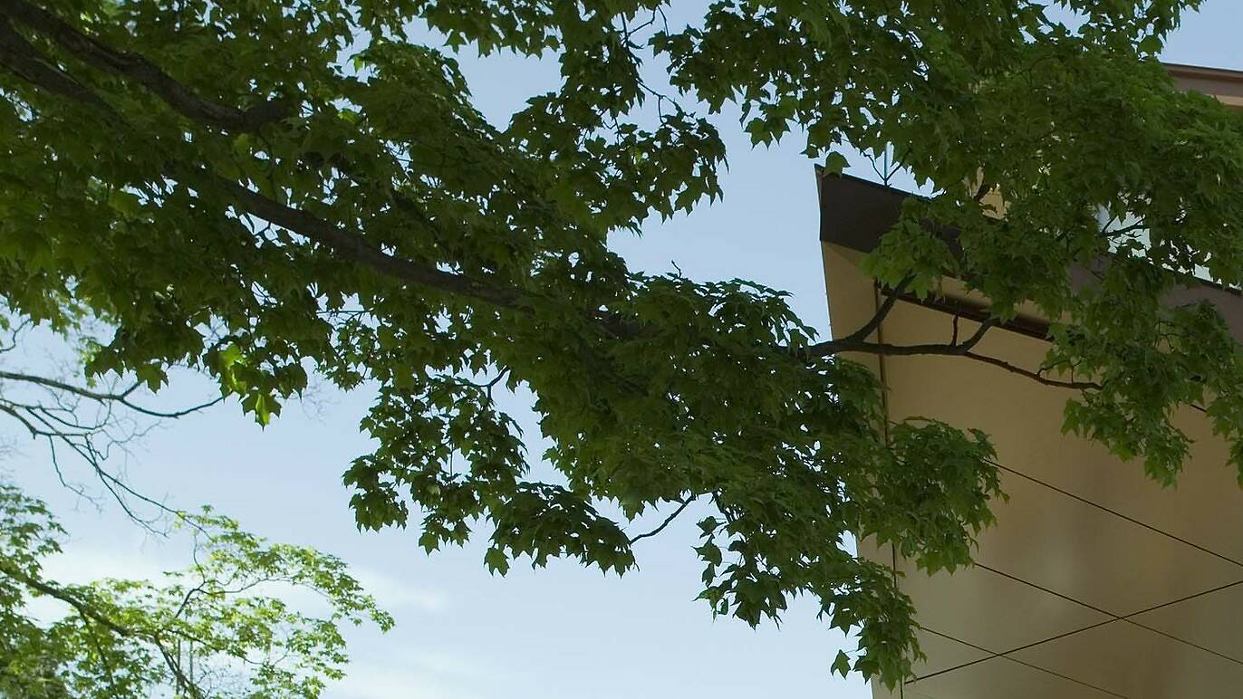 10 must-see museums in Connecticut