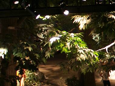 10 must-see museums in Connecticut