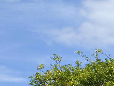 17 Best Parks and Grand Green Spaces in London | London's Major Parks
