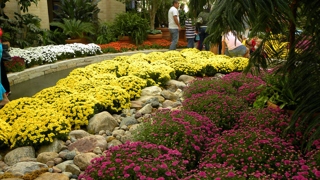 15 Exciting Things to do in Omaha to Have a Fun Time