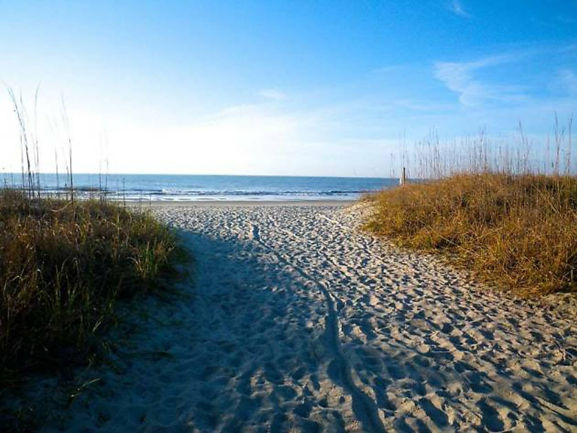 20 Best Things to Do in Myrtle Beach for Adventure Lovers