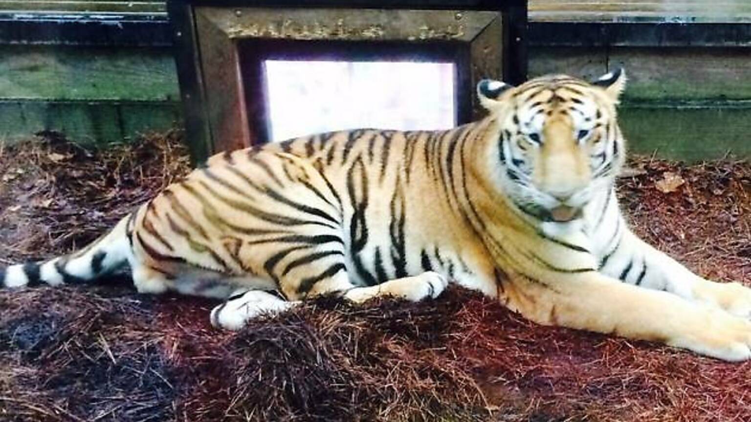 20 Best Things to Do in Myrtle Beach for Adventure Lovers