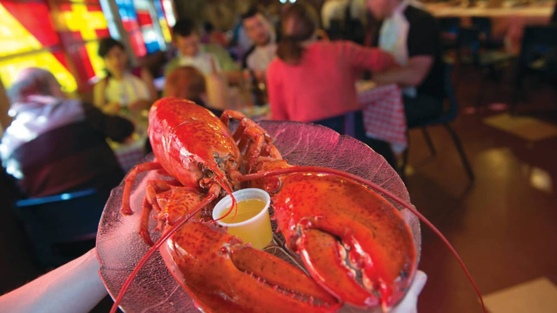 14 Really Fun Things to do in Halifax All Year Long