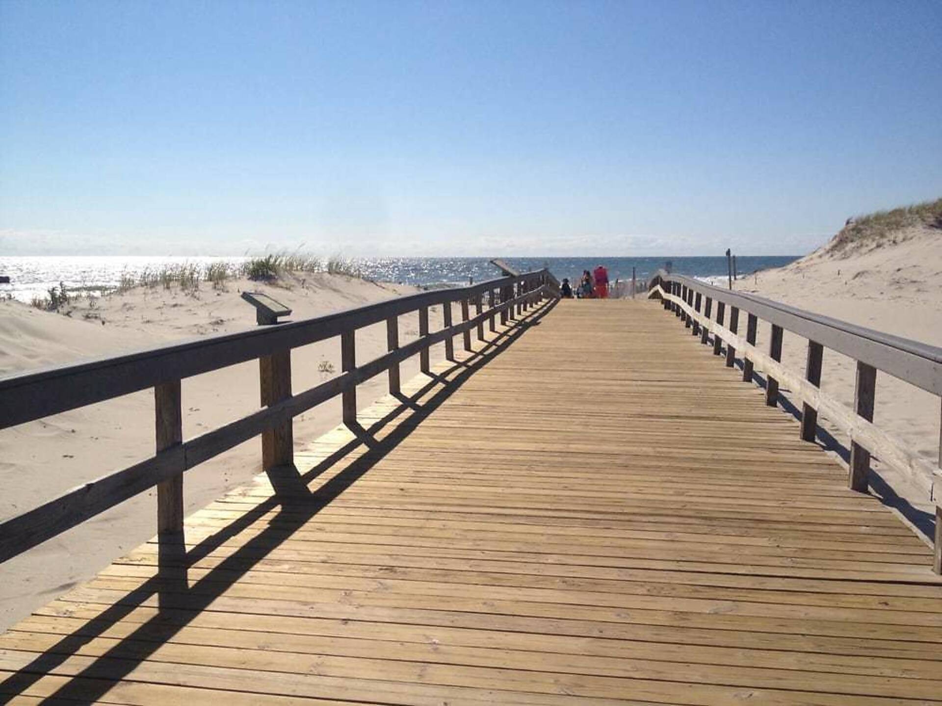15 Best Beaches in New Jersey for a Sun-Kissed Vacation