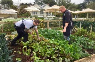 Basils Farm | Bars in Melbourne