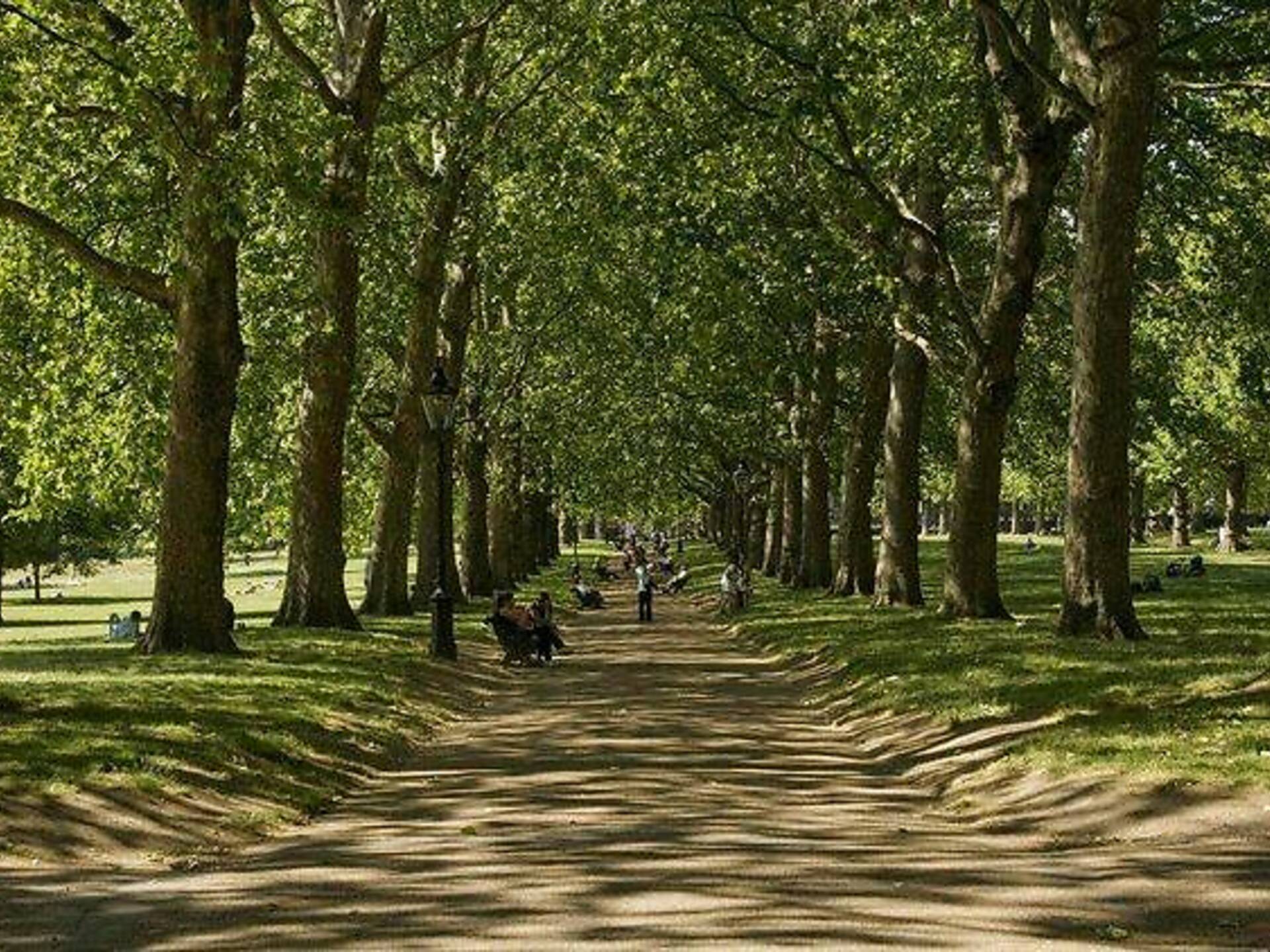 15 Best Picnic Spots in London For An Al Fresco Lunch