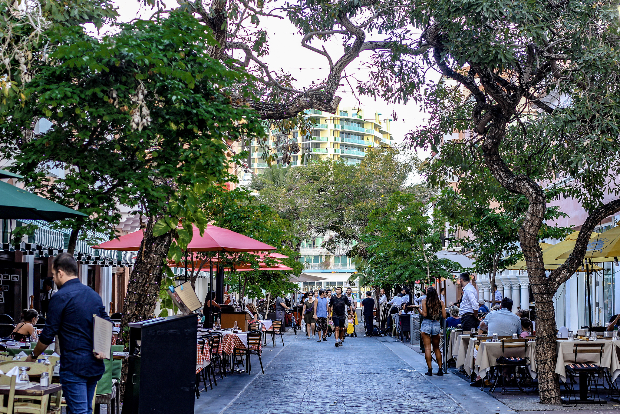Best Free Things To Do in Miami in Summer 2018