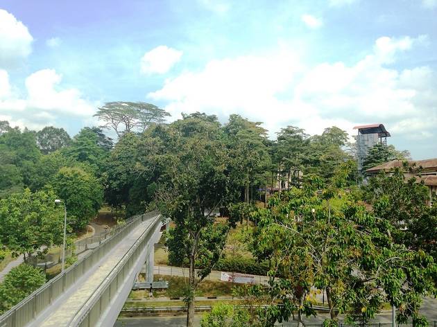 Yishun Nature Park | Things to do in Ang Mo Kio, Singapore