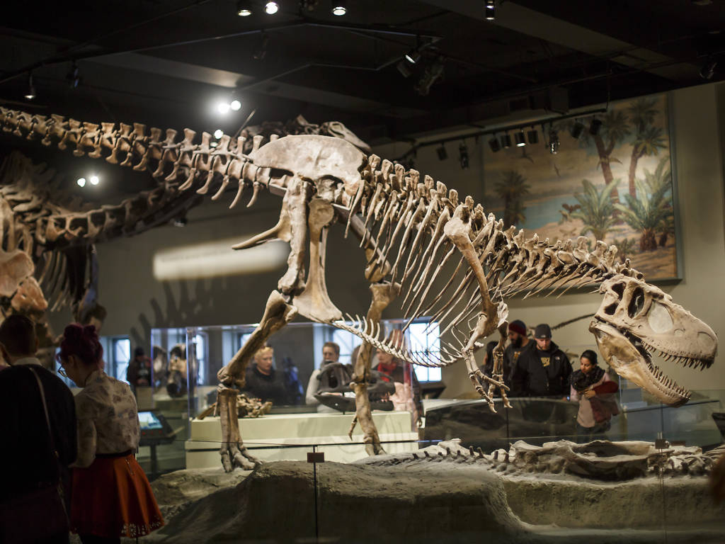 Museums | Exhibit & Museum Guide to Chicago | Time Out Chicago