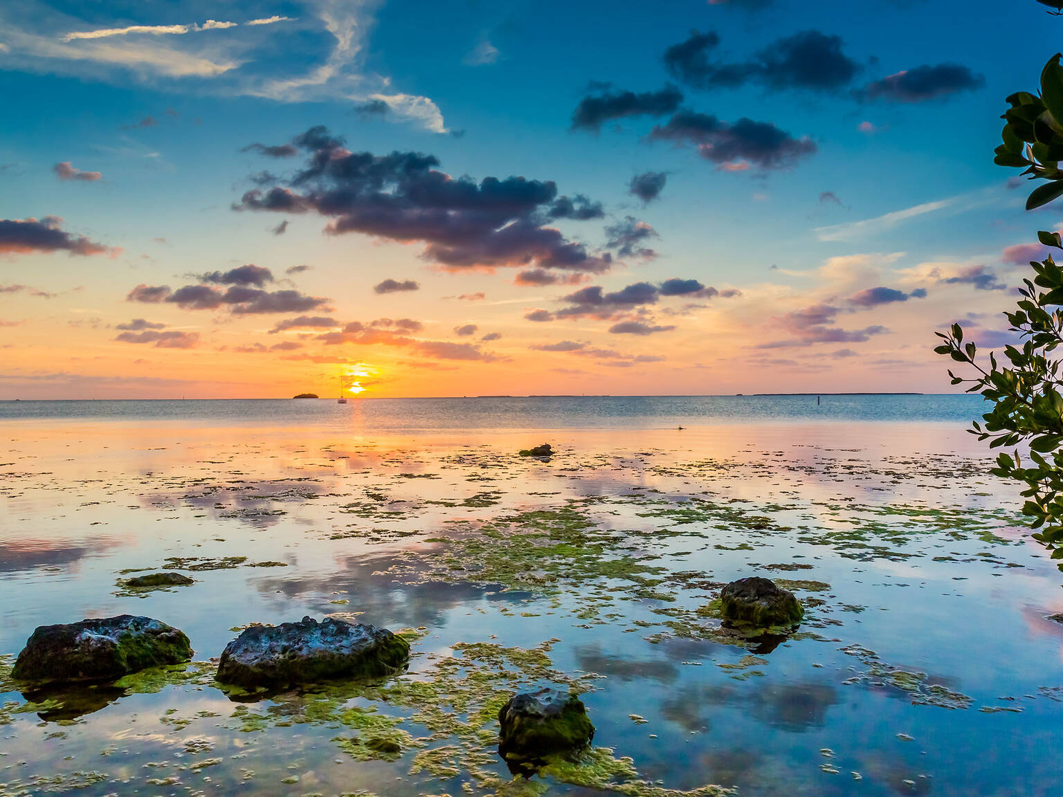 7 Best Things to Do in Key Largo