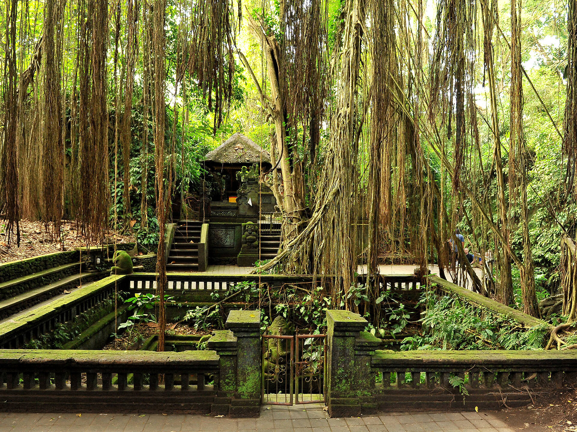 Bali 2024 | Ultimate Guide To Where To Go, Eat & Sleep in Bali | Time Out