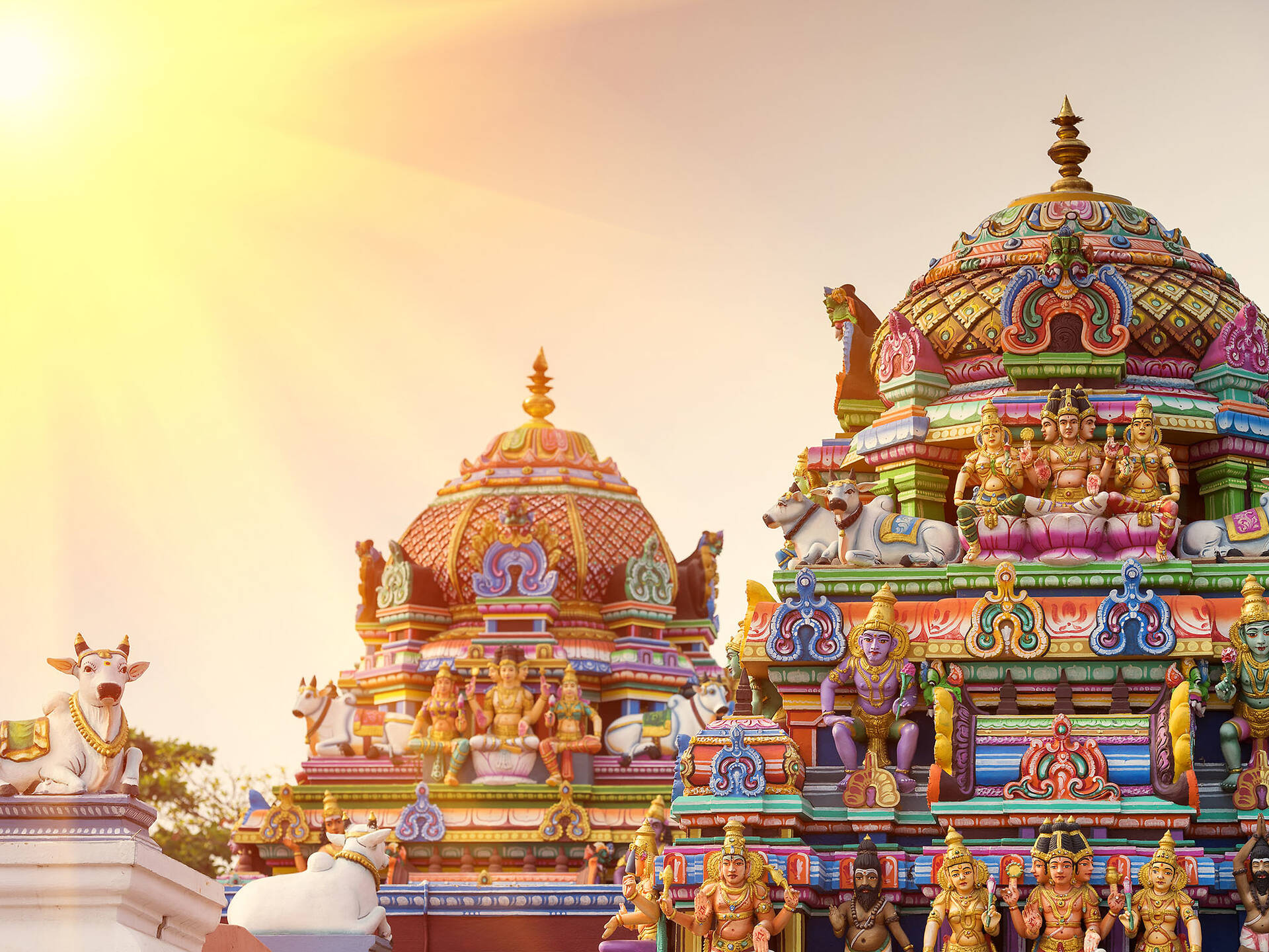 India 2025 | Ultimate Guide To Where To Go, Eat & Sleep in India | Time Out