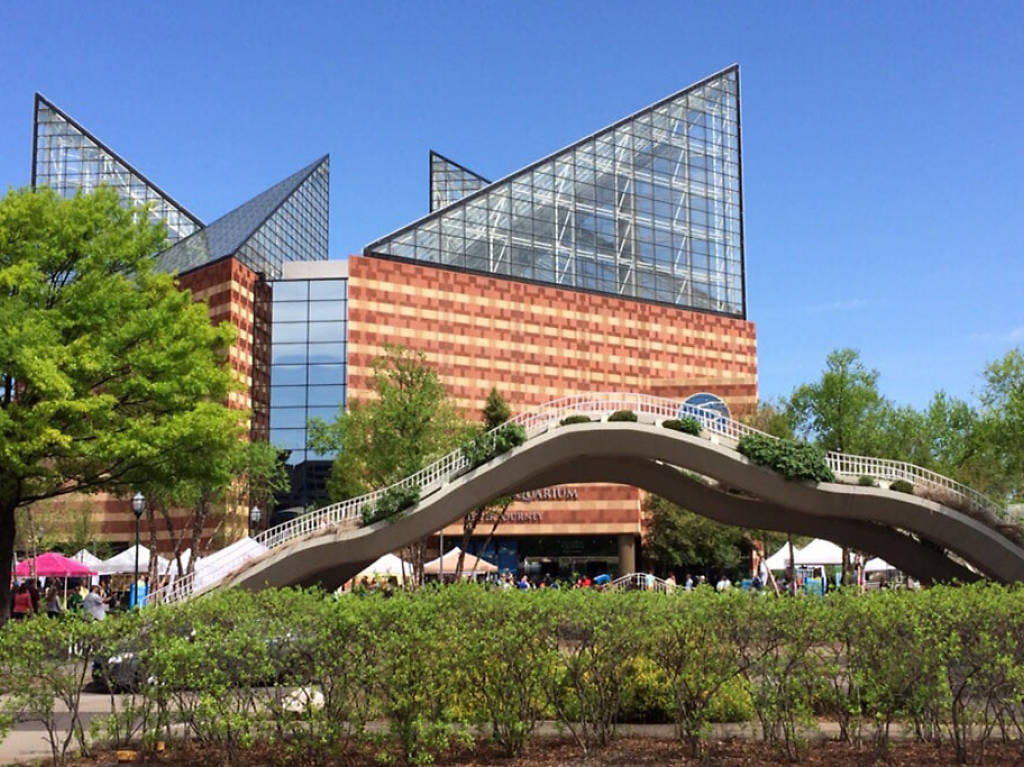 19 Fun Things to do in Chattanooga You Won’t Soon Forget