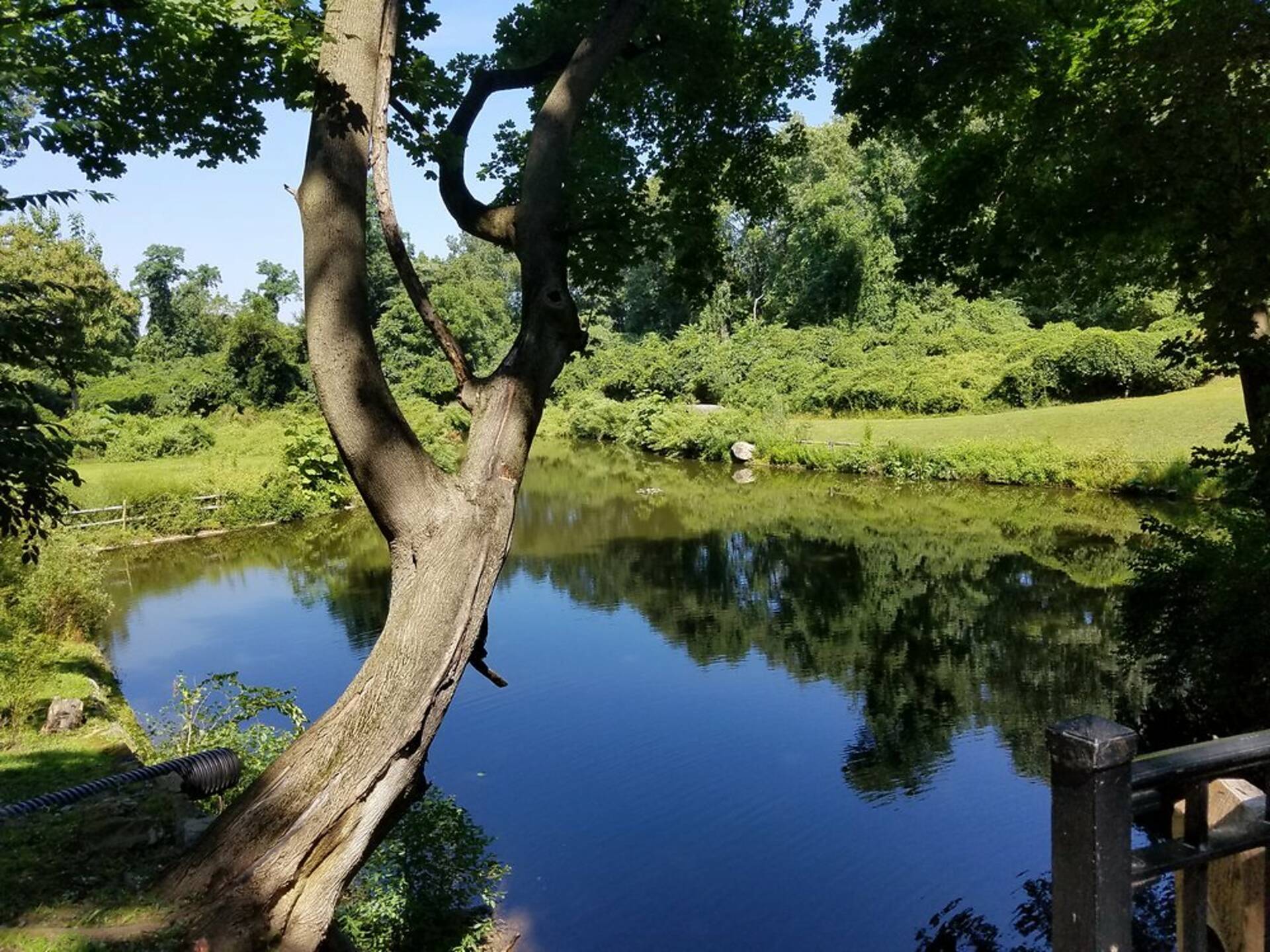 Best Things to Do on Long Island, New York
