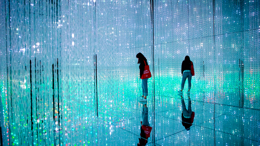 Mori Building Digital Art Museum Epson teamLab Borderless | Art in Kamiyacho, Tokyo