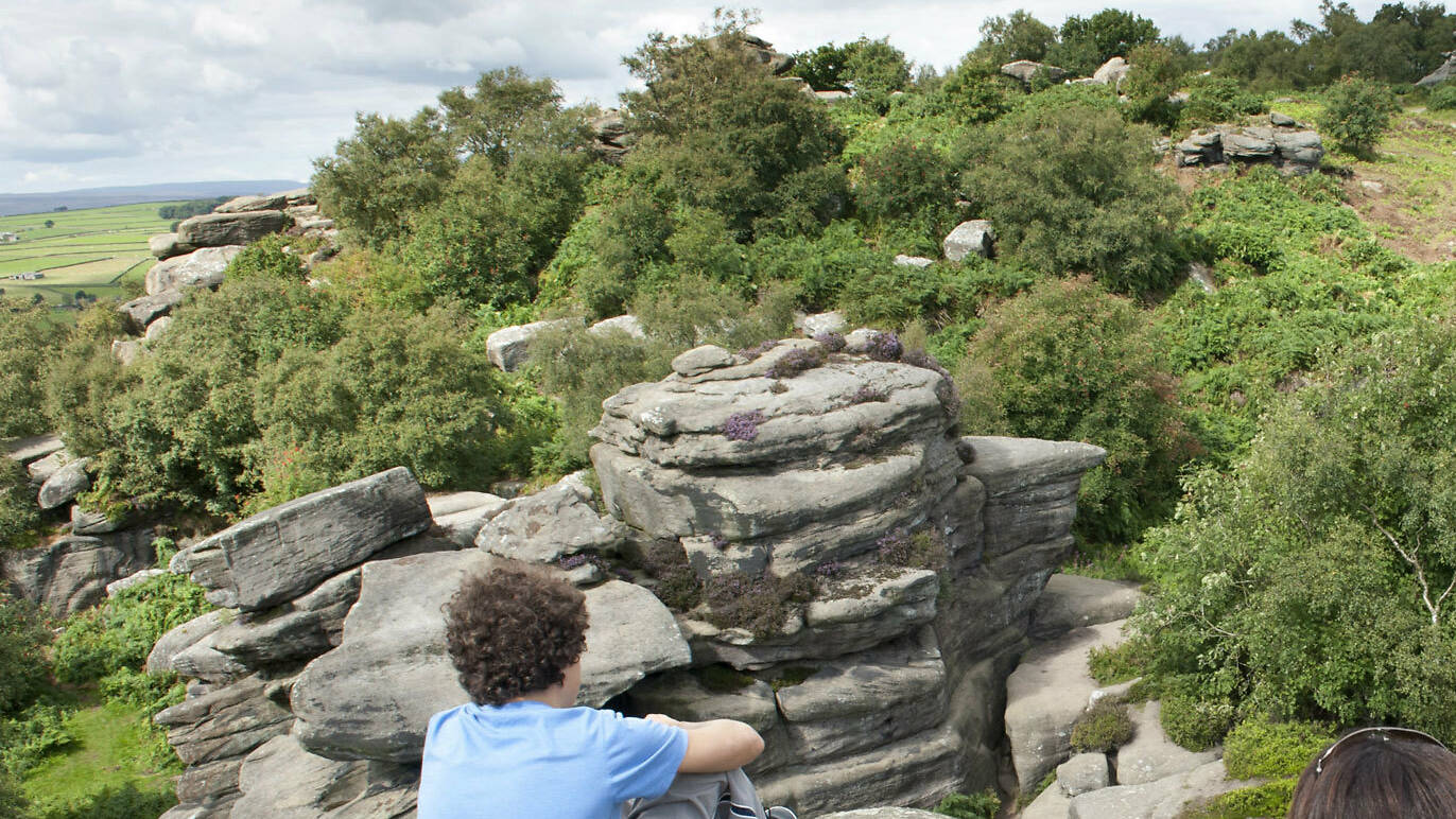 17 Best Things To Do in Harrogate Right Now