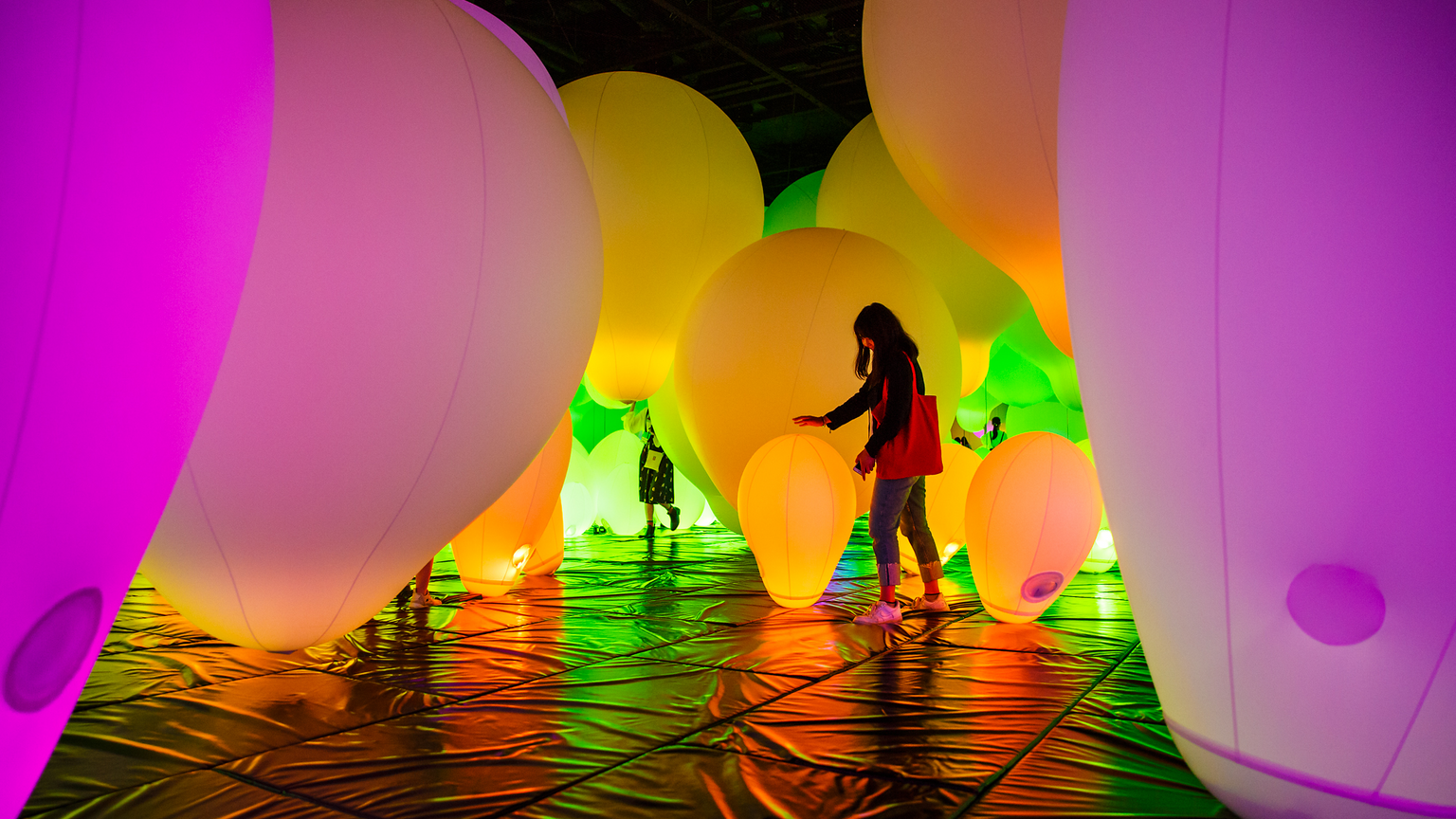 Exhibit guide to the Mori Building Digital Art Museum Epson teamLab Borderless | Time Out Tokyo