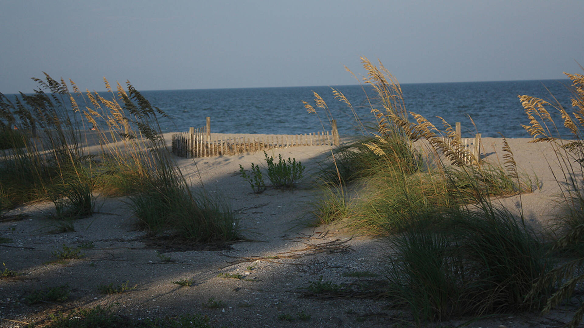 The 20 Best Beaches in South Carolina to Spend All Day at