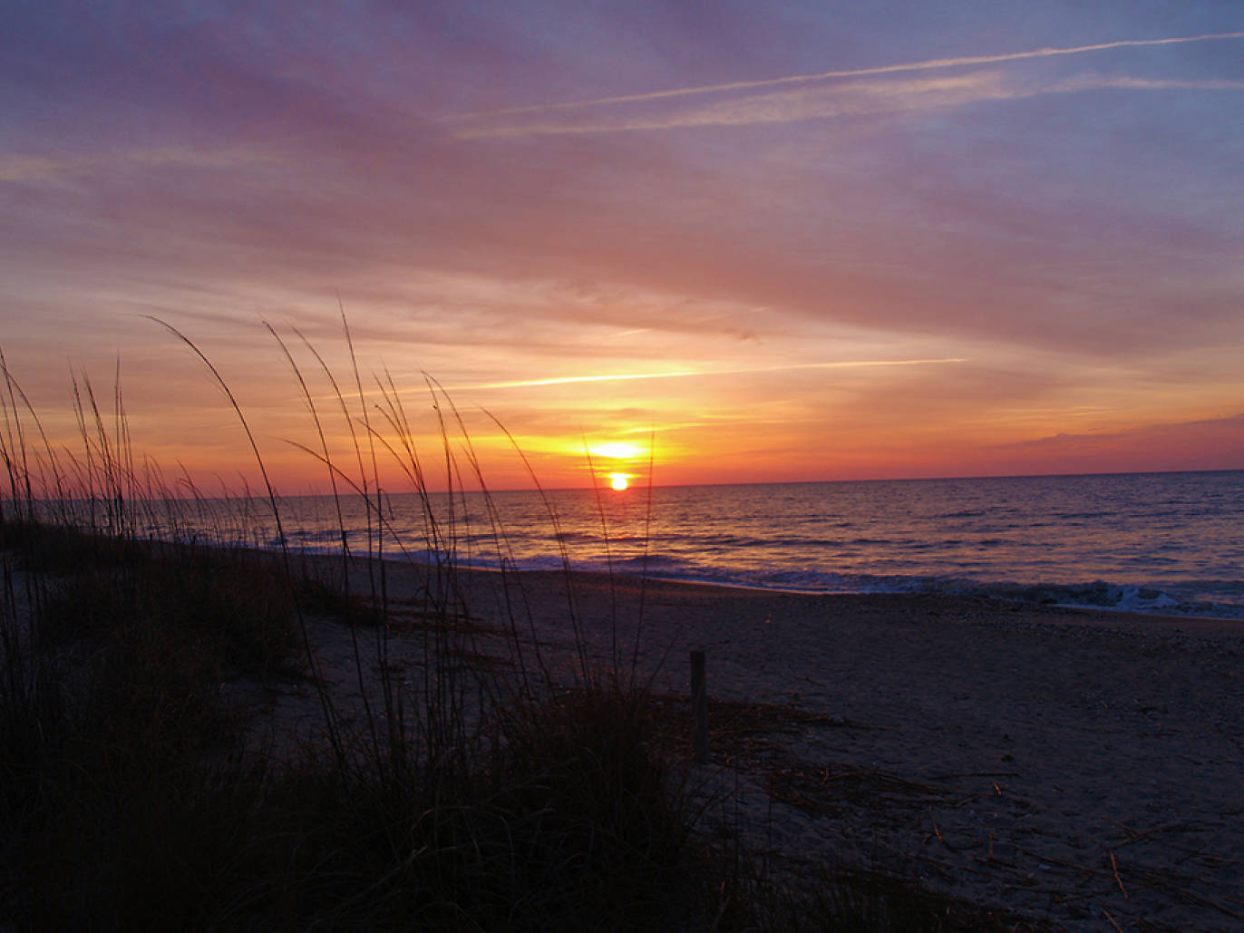 The 20 Best Beaches in South Carolina to Spend All Day at