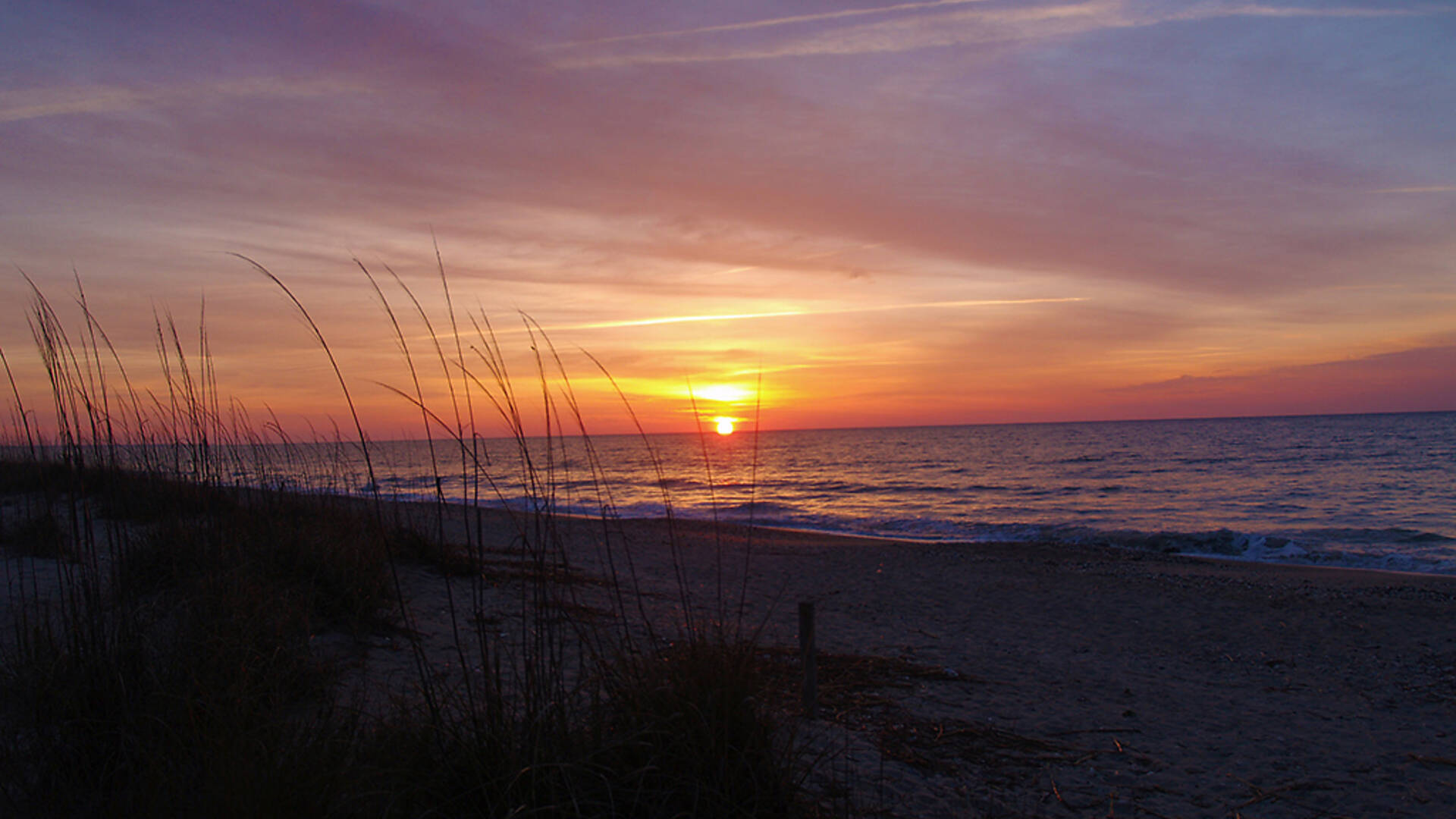 The 20 Best Beaches in South Carolina to Spend All Day at