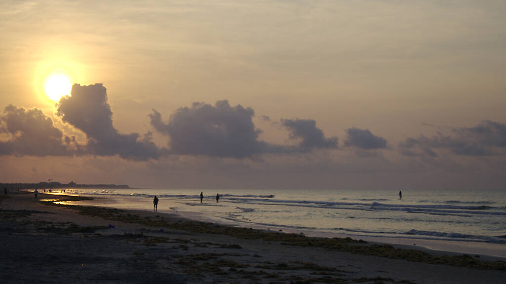 The 20 Best Beaches in South Carolina to Spend All Day at