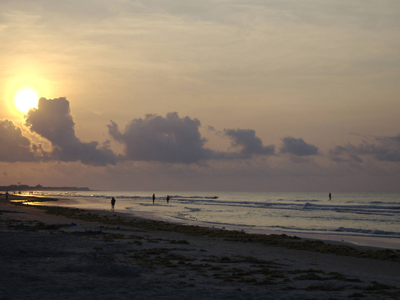 The 20 Best Beaches in South Carolina to Spend All Day at