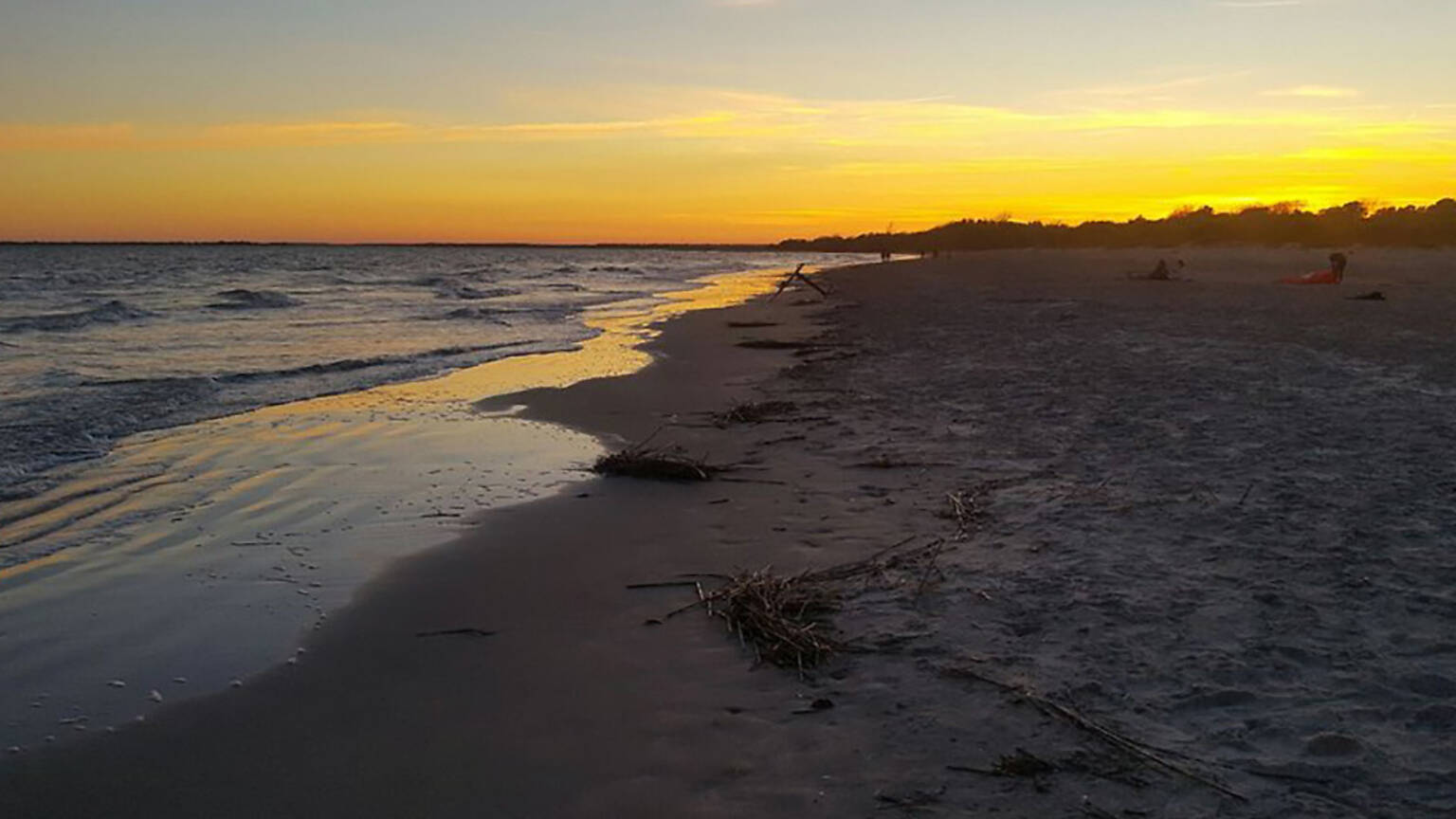 The 20 Best Beaches in South Carolina to Spend All Day at