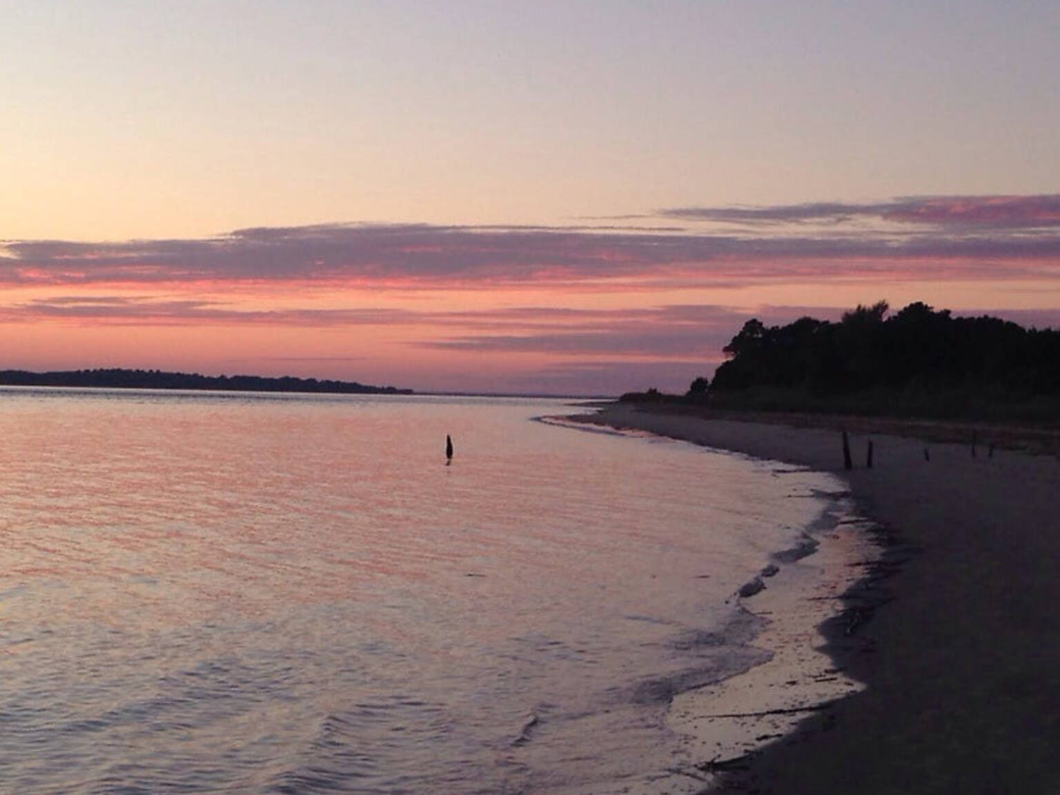 The 20 Best Beaches in South Carolina to Spend All Day at