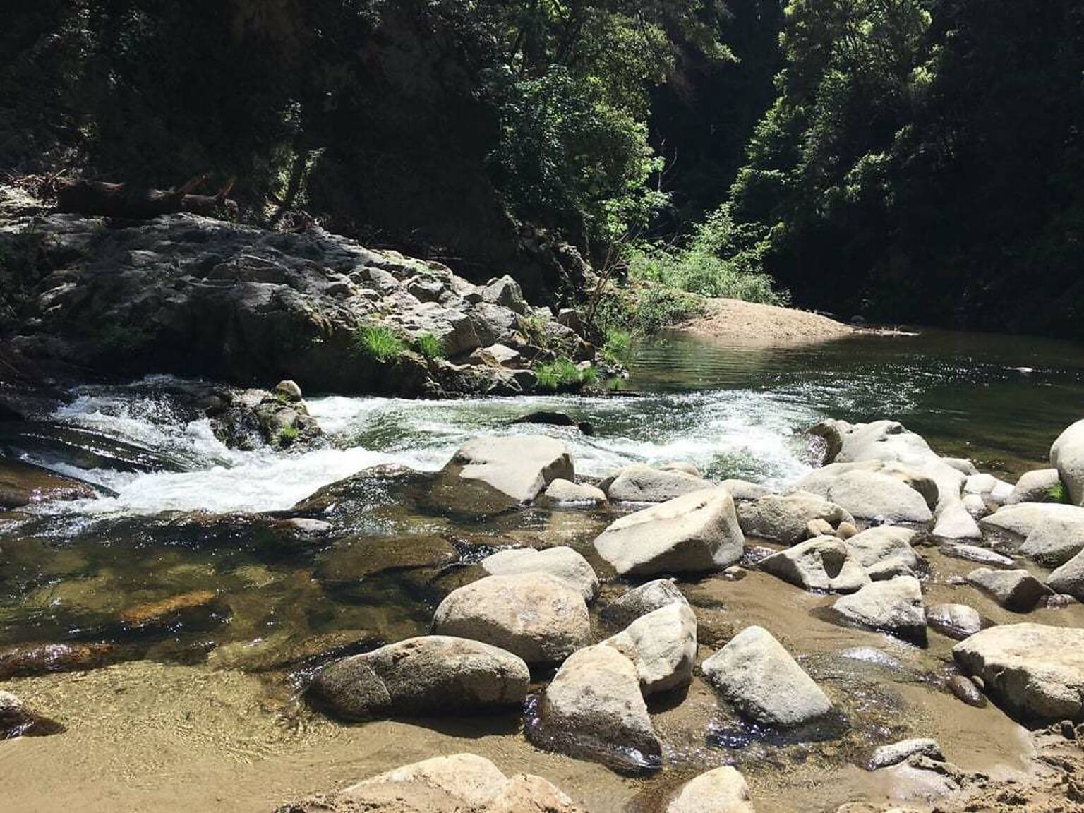 Things to Do in Santa Cruz | 11 Essential Attractions and Activities