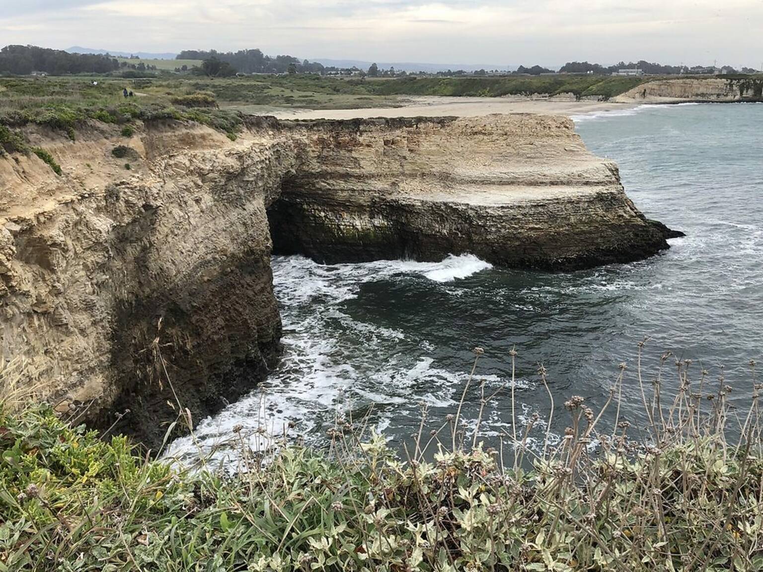 Things to Do in Santa Cruz | 11 Essential Attractions and Activities