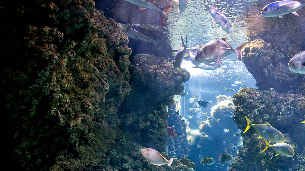 Best Things To Do in Monaco | 13 Unmissable Attractions