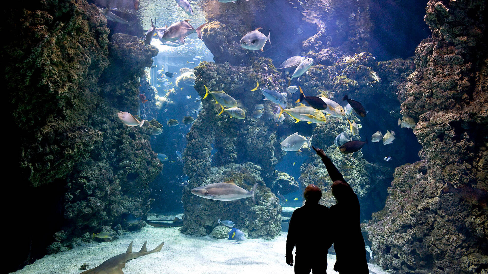 Best Things To Do in Monaco | 13 Unmissable Attractions