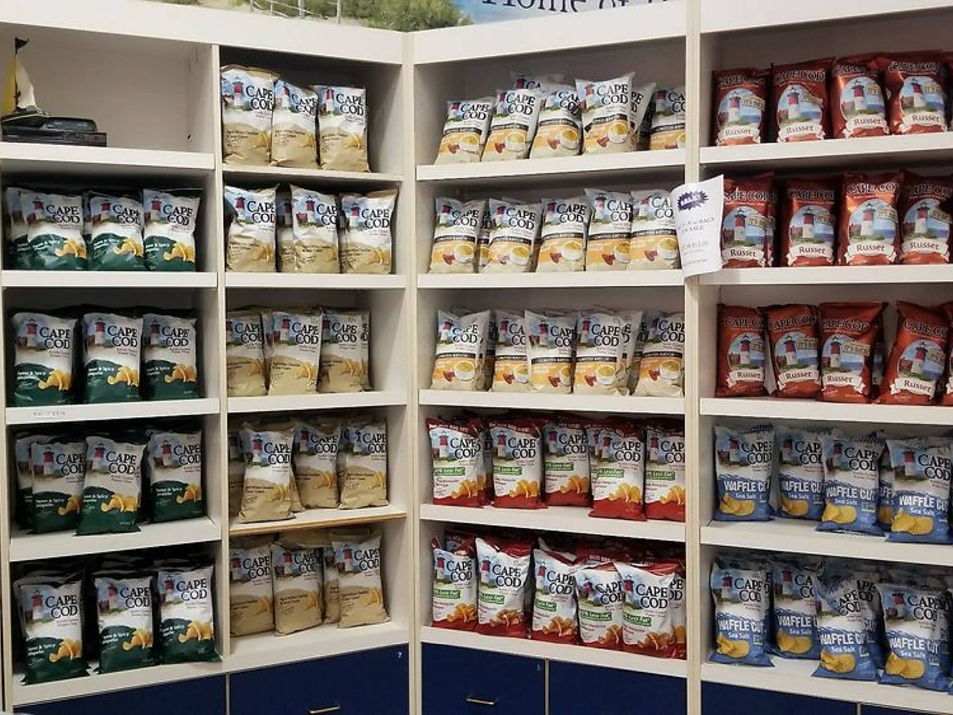 Things to Do in Cape Cod | 12 Essential Attractions and Activities