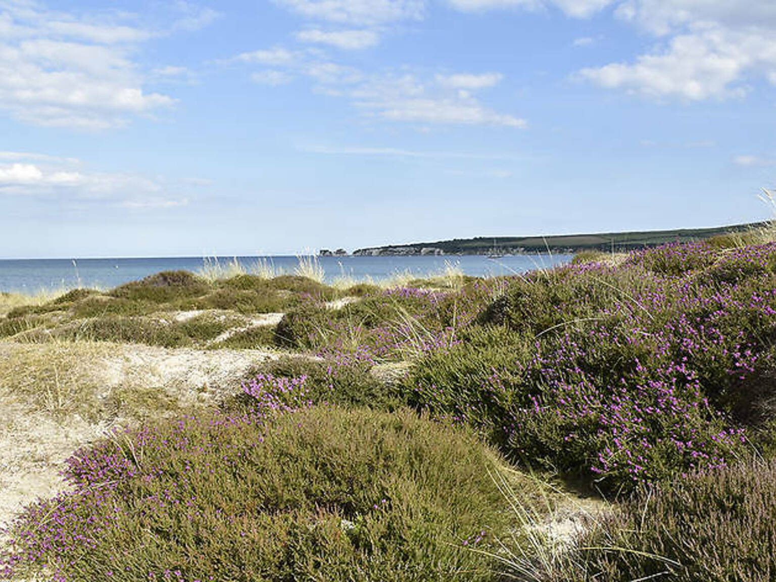 9 Best Things To Do in Dorset Right Now