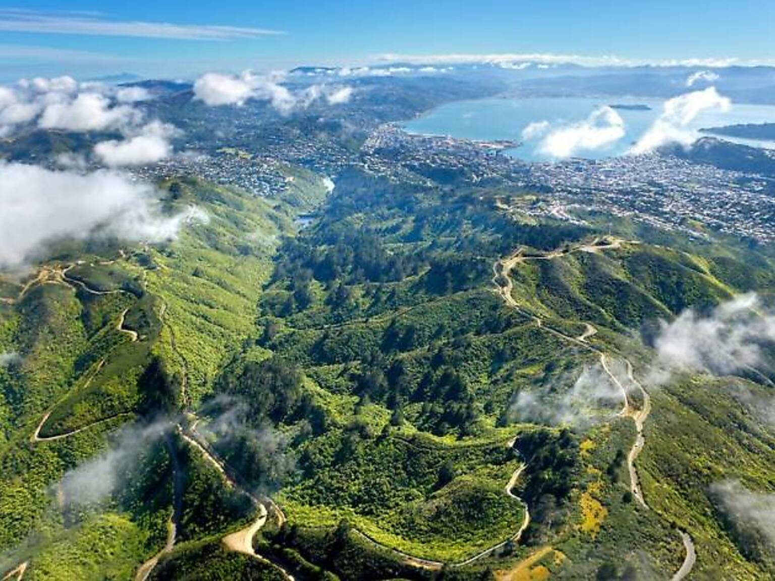 Things to Do in Wellington | 11 Top Attractions